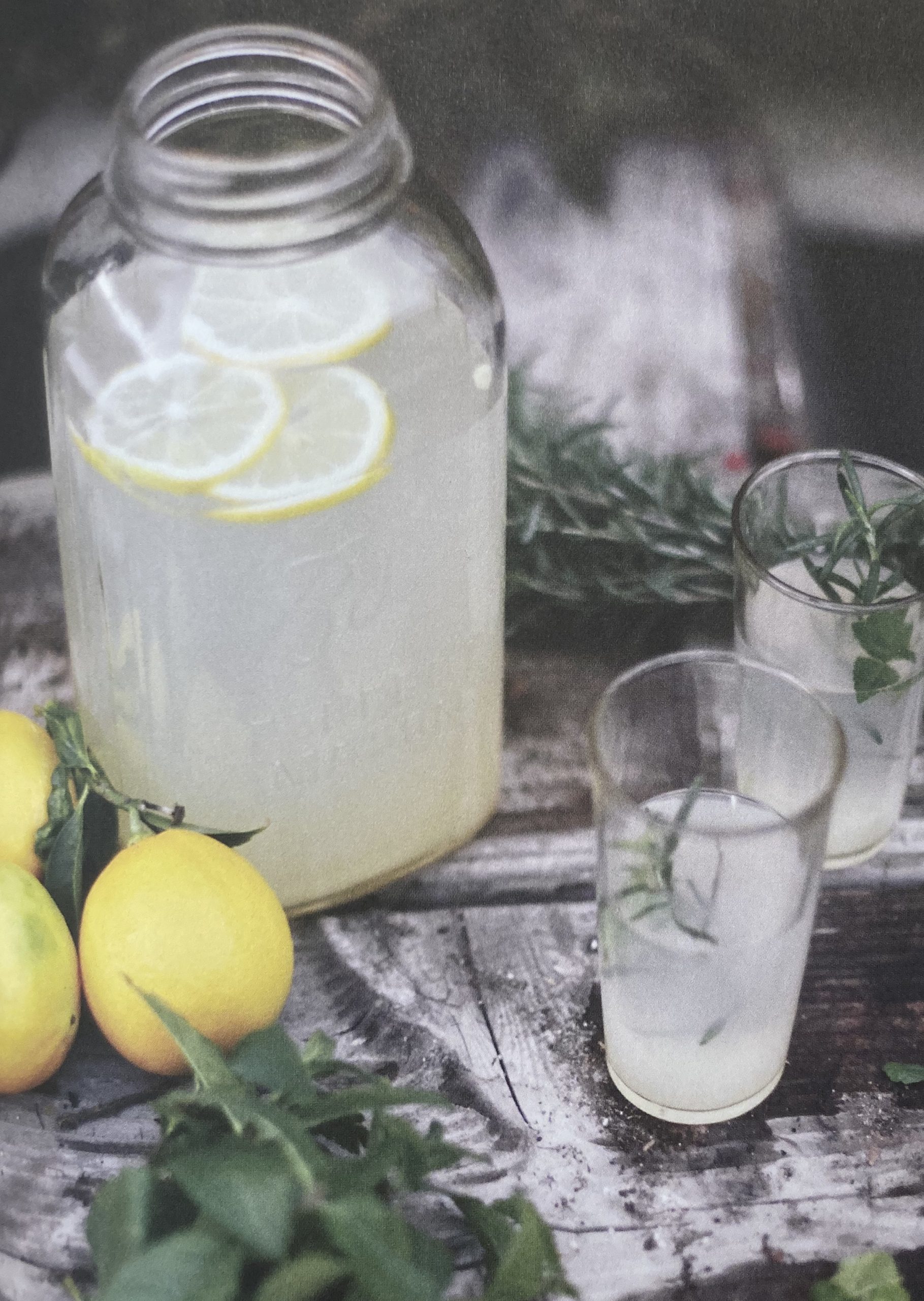 Herbal Lemonade | Mangia NYC Recipes & Blog Story